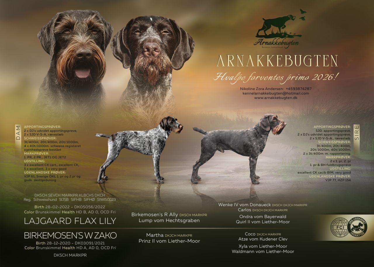 Kennel Arnakkebugten